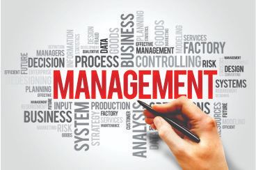 Software, website & Digital Marketing Company | Website Design Company